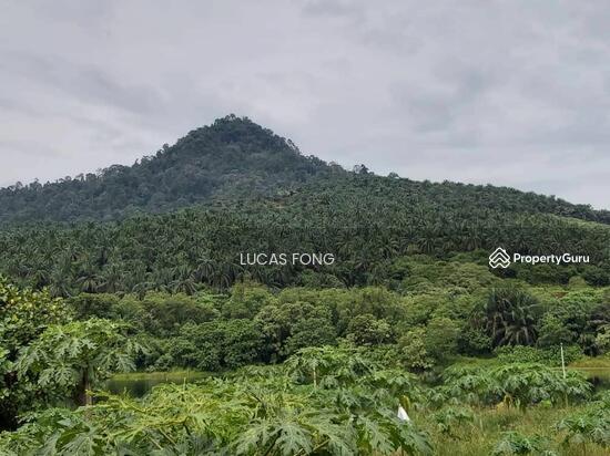 Padang Gajah Village Perak, Perak Tengah, Ipoh, Perak, , , Agricultural ...