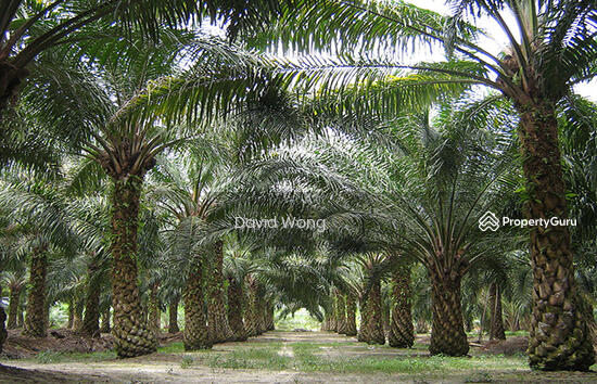 Chenderiang untuk Untuk Dijual - RM 480,000 (2024) | PropertyGuru Malaysia