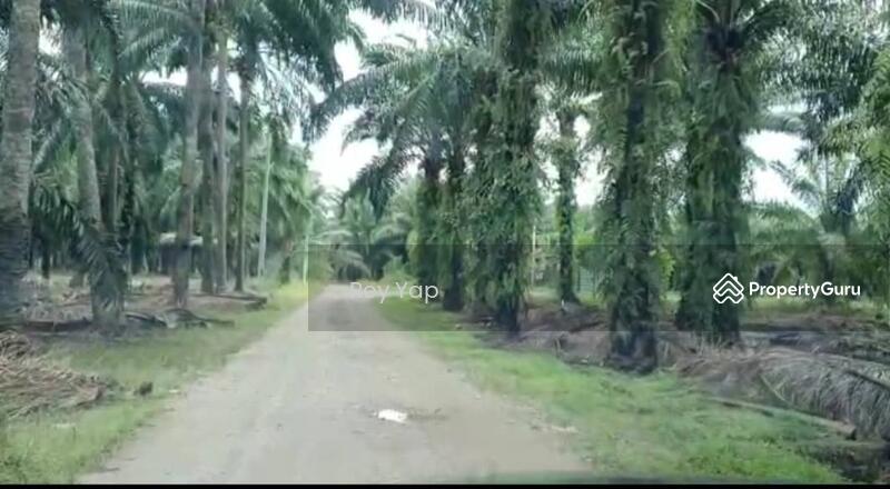 Ijok, Kawasan Perindustrian Batu 22, Kuala Selangor, Selangor ...