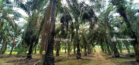 seelong senai untuk Untuk Dijual - RM 3,953,018, Apr 2026