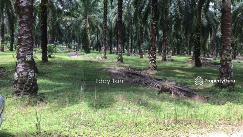 ijok bestari, kota puteri, batu arang , batang berjuntai , jeram, kuala ...