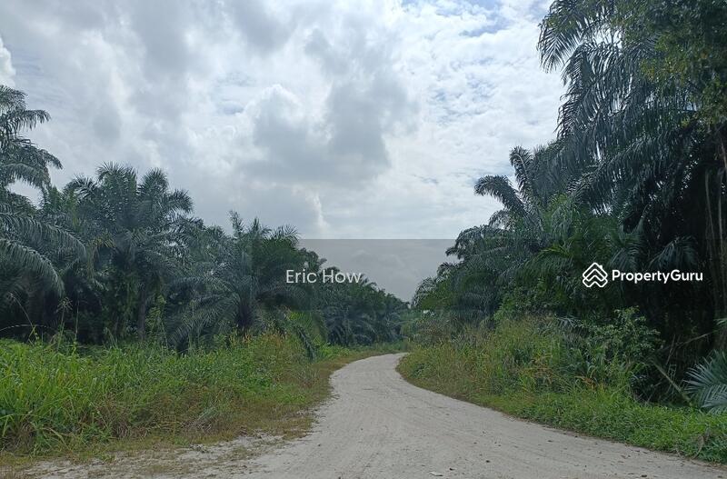 Sonstar industrial park kuang. Kuang. Rawang. Agricultural land rawang, Kampung Orang Asli Kuang ...