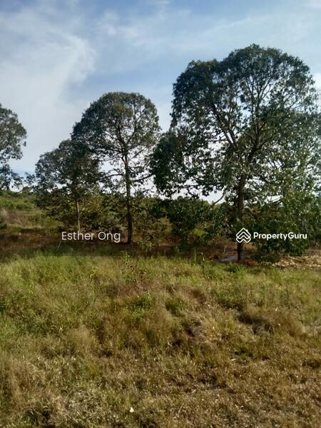 Land For Sale In Simpang Pertang, Negeri Sembilan, Simpang Pertang ...