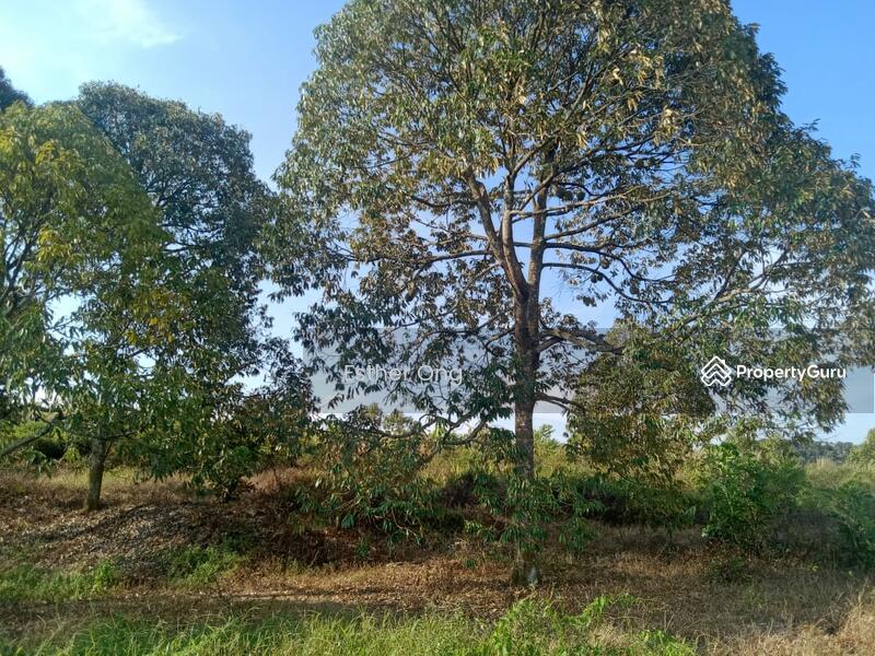 Land For Sale In Simpang Pertang, Negeri Sembilan, Simpang Pertang ...