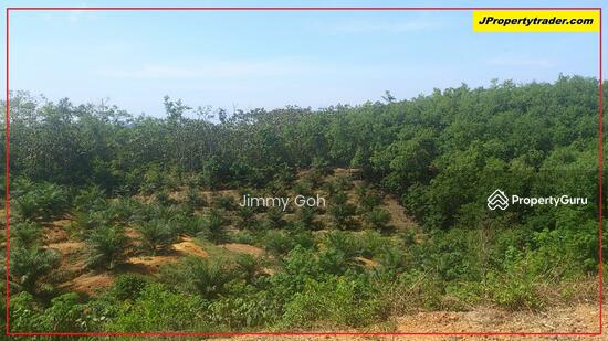 Agricultural Land for Sale in Kerling (Selangor) - Jimmy Goh