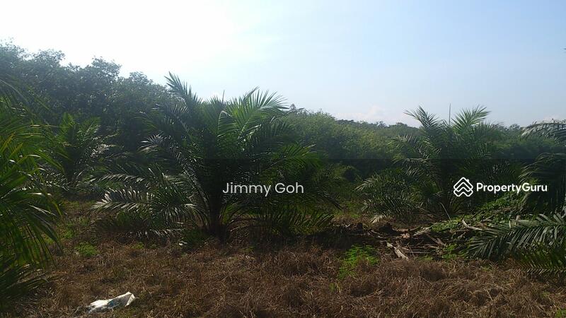 Agriculture land at Kerling, Kerling, Kerling, Hulu Selangor, Selangor ...