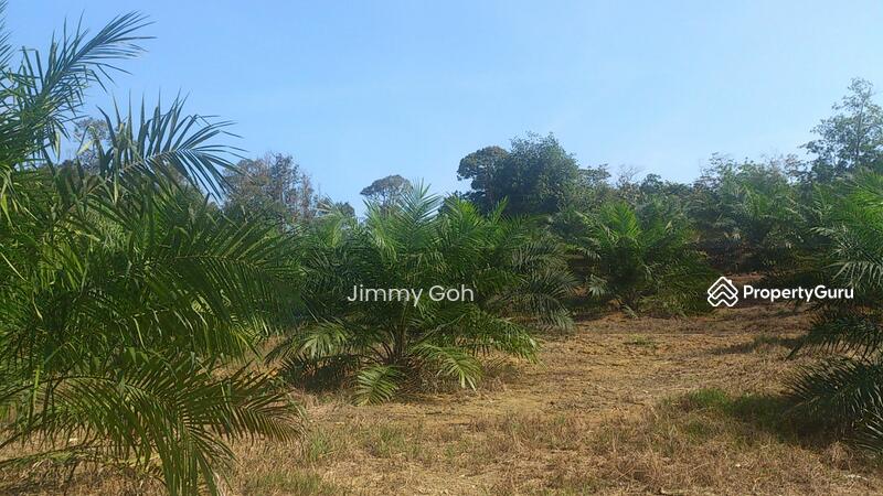 Agriculture land at Kerling, Kerling, Kerling, Hulu Selangor, Selangor ...