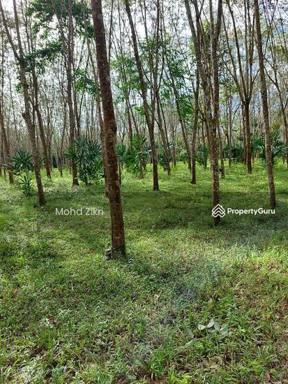 Kg Paya Besar Kubur Panjang, Pendang, Kedah, , , A SALE, by Mohd Zikri ...