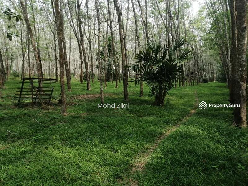 Kg Paya Besar Kubur Panjang, Pendang, Kedah, , , A SALE, by Mohd Zikri ...