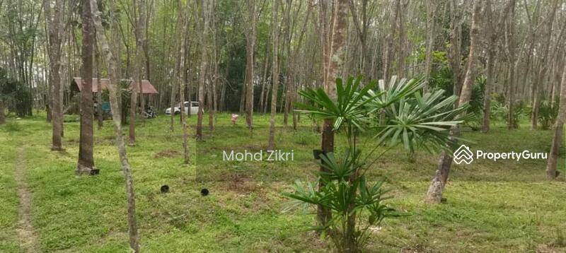 Kg Paya Besar Kubur Panjang, Pendang, Kedah, , , A SALE, by Mohd Zikri ...