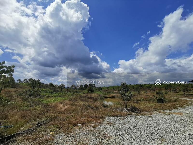 6 Acres Durian Farm Mainroad Frontage Simpang Pertang Jelebu Negeri ...