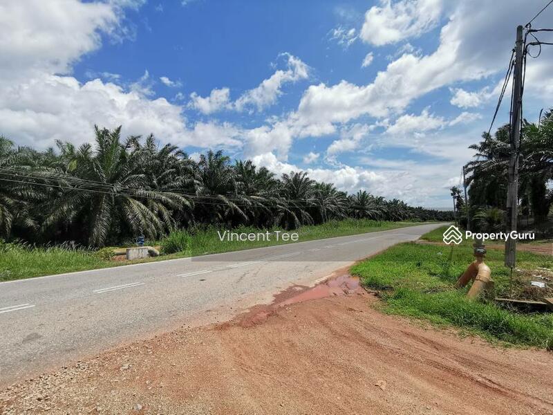 6 Acres Durian Farm Mainroad Frontage Simpang Pertang Jelebu Negeri ...