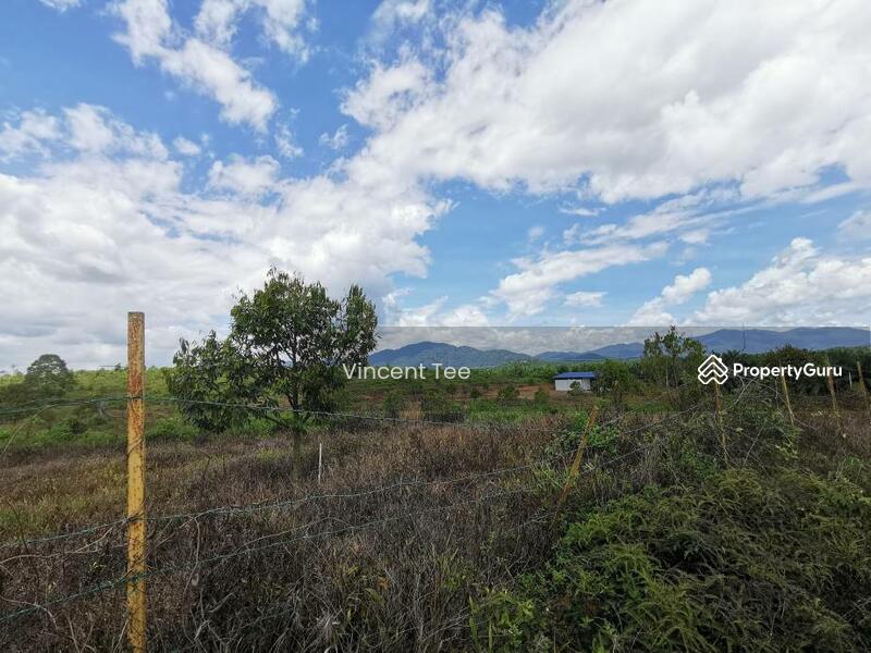 6 Acres Durian Farm Mainroad Frontage Simpang Pertang Jelebu Negeri ...