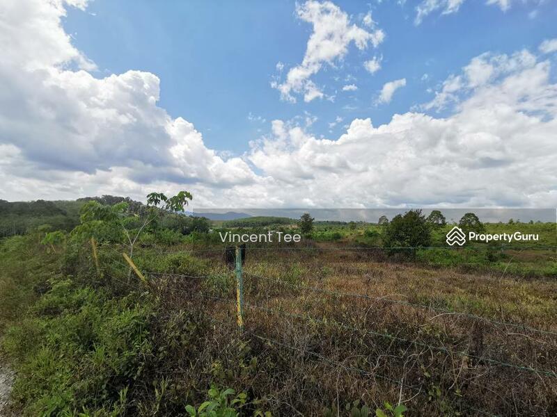6 Acres Durian Farm Mainroad Frontage Simpang Pertang Jelebu Negeri ...
