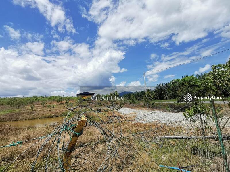 6 Acres Durian Farm Mainroad Frontage Simpang Pertang Jelebu Negeri ...