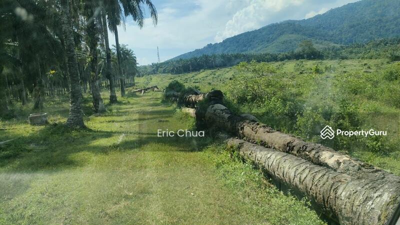 Agriculture land at Temoh, 1, Tapah, Perak, , , Agricultural Land For ...