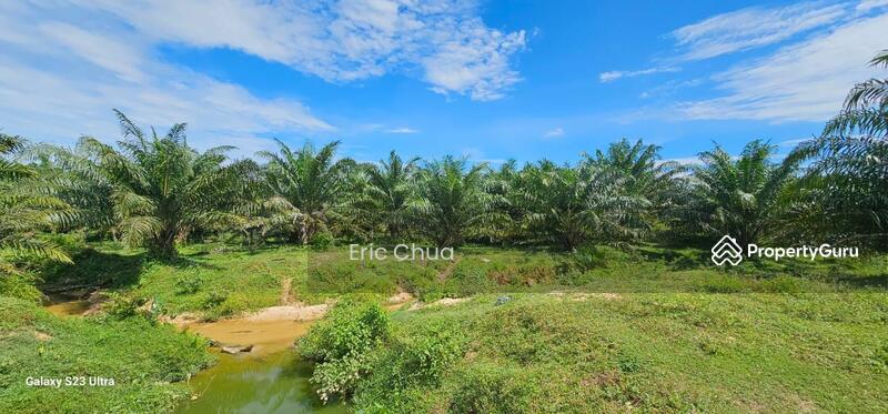 Agriculture land at Temoh, 1, Tapah, Perak, , , Agricultural Land For ...