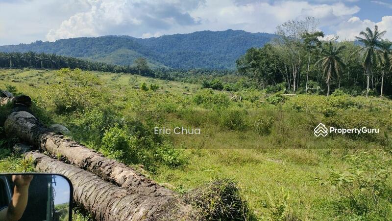 Agriculture land at Temoh, 1, Tapah, Perak, , , Agricultural Land For ...