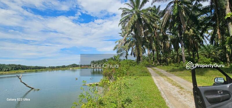 Agriculture land at Temoh, 1, Tapah, Perak, , , Agricultural Land For ...