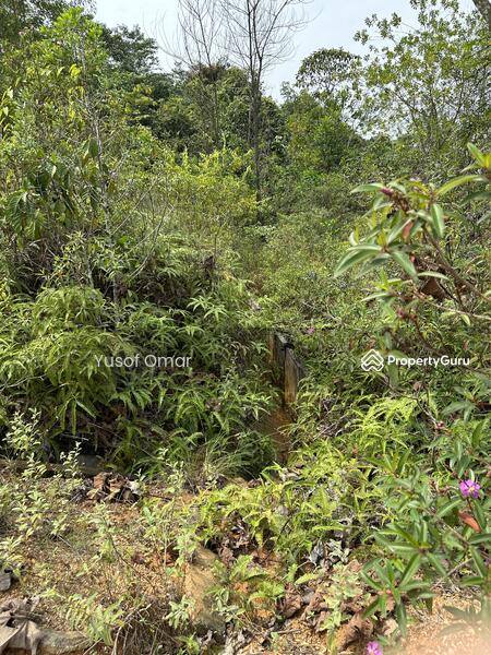 kampung sungai buah dengkil, Dengkil, Sepang, Selangor, , , Residential ...