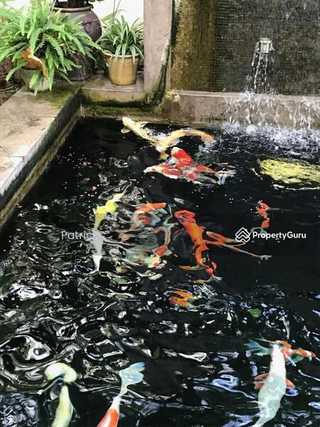 Denai Pinang Seri Tanjung Pinang, Seri Tanjung Pinang, Georgetown ...