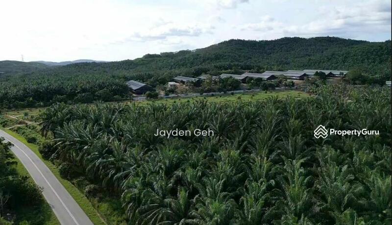 Bukit Selambau, Sungai Petani SP Kedah, Jitra, Kedah, Agricultural ...