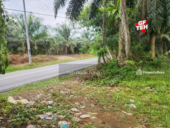 Residential Land for Sale in Alma (Bukit Mertajam) - Teh Guan Fong