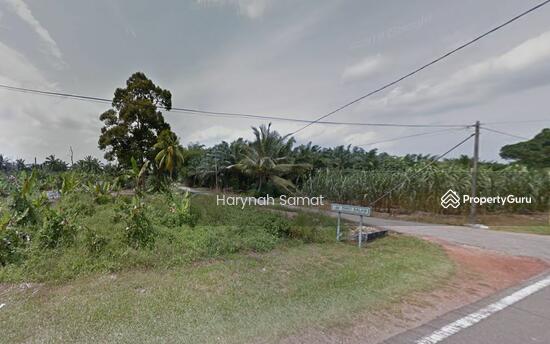 Agricultural Land for Sale in Muar (Johor) - Harynah Samat