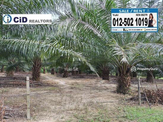 Tronoh, Ipoh, Perak, Batu Gajah, Perak, , , Agricultural Land For Sale ...