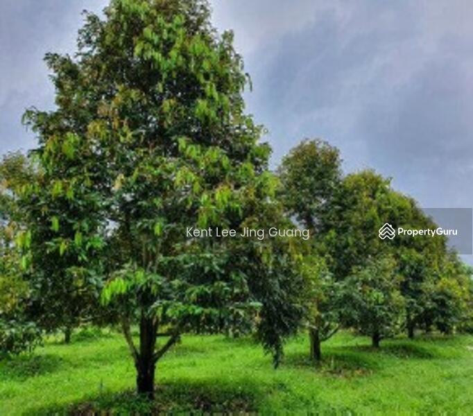 Durian land Karak Main Road, Bentong Gated, Full infra, Bentong Pahang ...