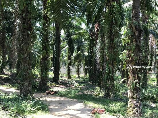 Agriculture land at Johol, Johol, Kuala Pilah, Negeri Sembilan ...
