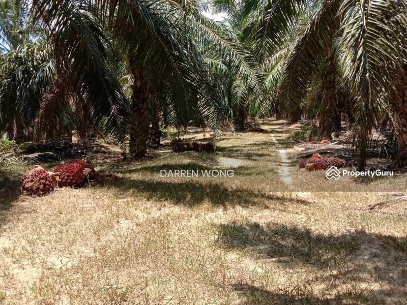 Agriculture land at Johol, Johol, Kuala Pilah, Negeri Sembilan ...