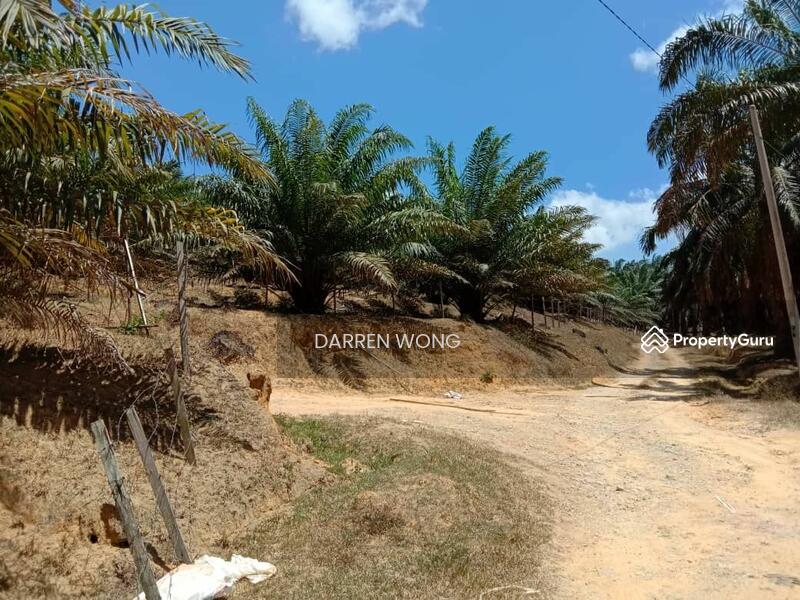 Agriculture land at Johol, Johol, Kuala Pilah, Negeri Sembilan ...
