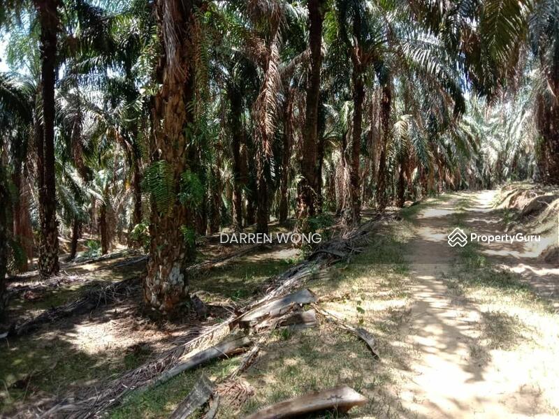 Agriculture land at Johol, Johol, Kuala Pilah, Negeri Sembilan ...