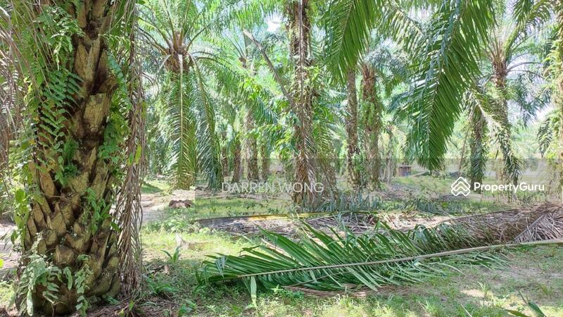 Agriculture land at Johol, Johol, Kuala Pilah, Negeri Sembilan ...