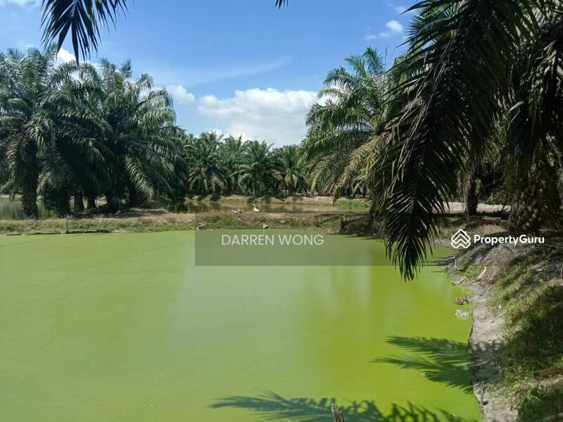 Agriculture land at Johol, Johol, Kuala Pilah, Negeri Sembilan ...