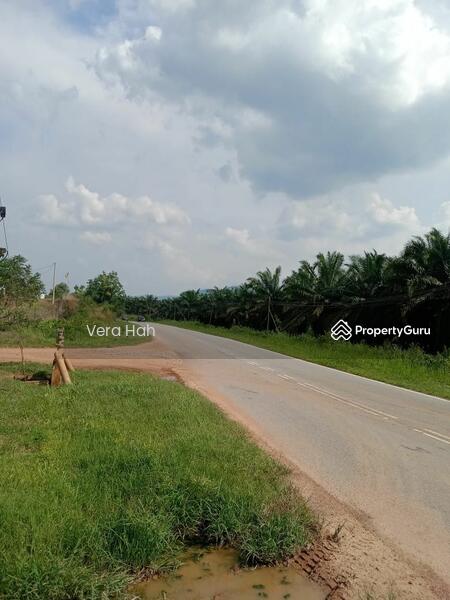 Agriculture land at Simpang Pertang, Jalan Simpng Durian, Simpang ...
