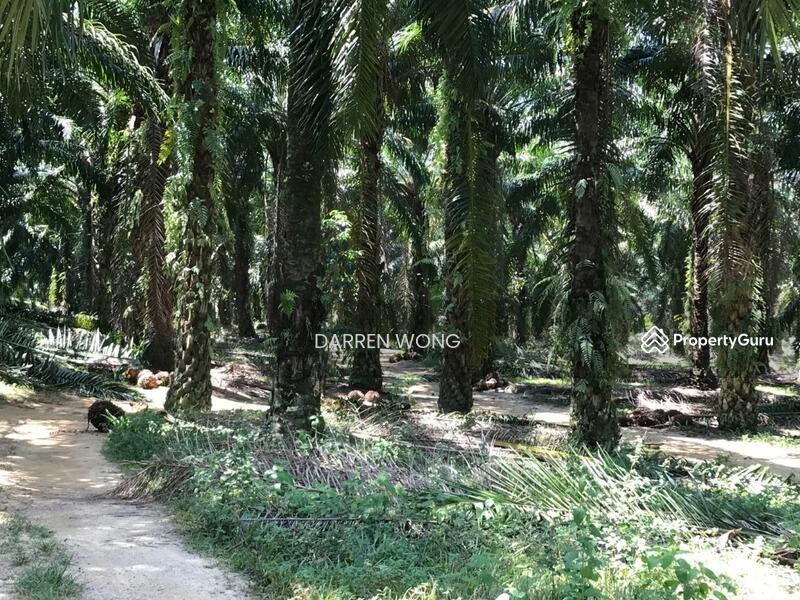 Agriculture land at Johol, Johol, Kuala Pilah, Negeri Sembilan ...