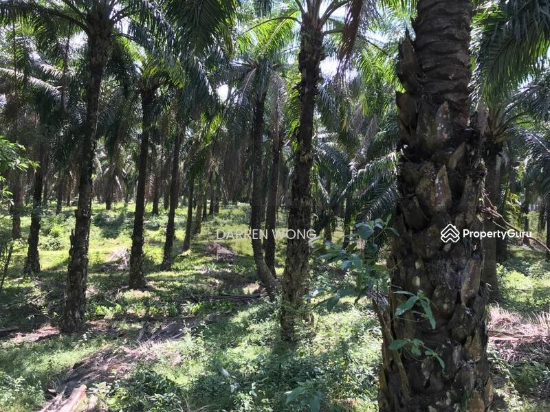 Agriculture land at Johol, Johol, Kuala Pilah, Negeri Sembilan ...