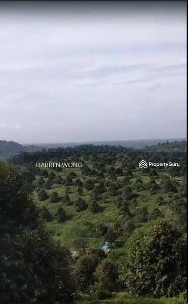 Agriculture land at Temoh, Temoh, Tapah, Perak, , , Agricultural Land ...