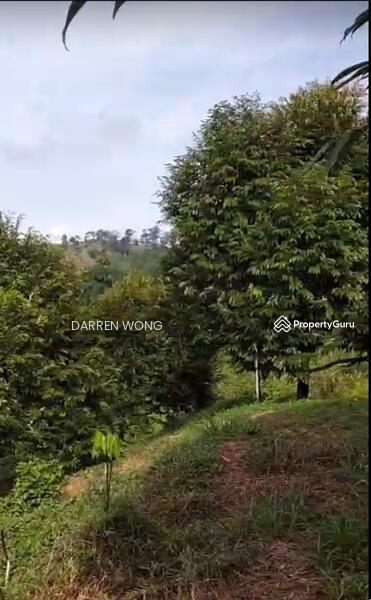 Agriculture land at Temoh, Temoh, Tapah, Perak, , , Agricultural Land ...