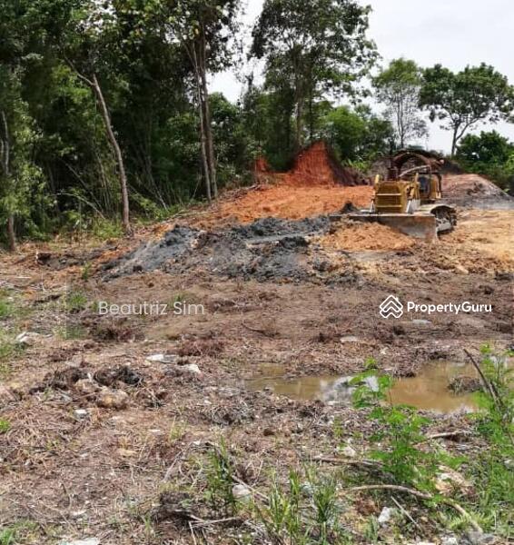 Agricultural Land for Sale in Kuching (Sarawak) - Beautriz Sim