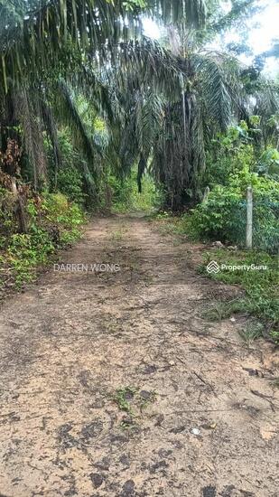 Agriculture land at Johol, Johol, Kuala Pilah, Negeri Sembilan ...