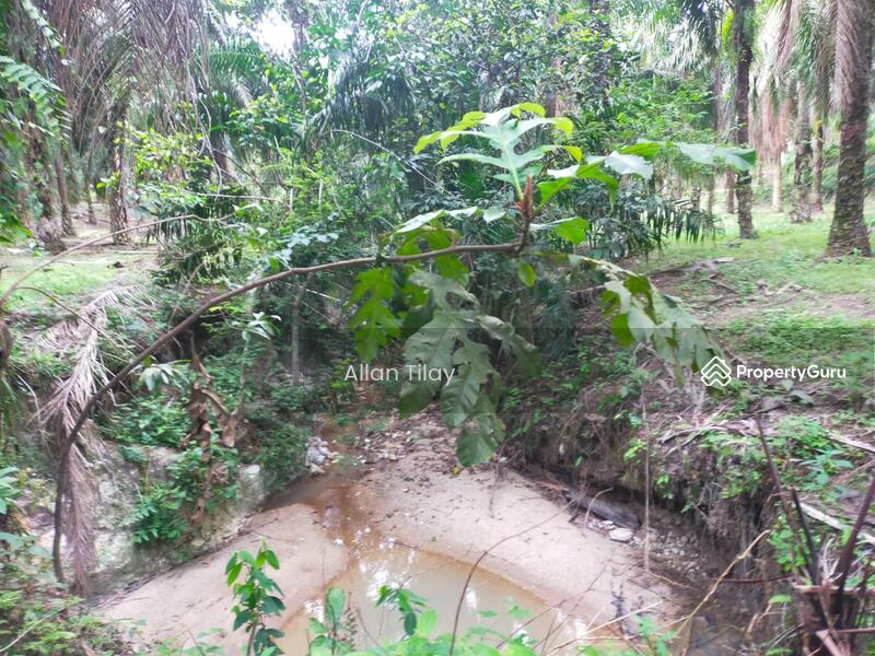 Parit Perak Freehold Non Bumi Oil Palm Land, Parit, Perak Tengah, Perak ...