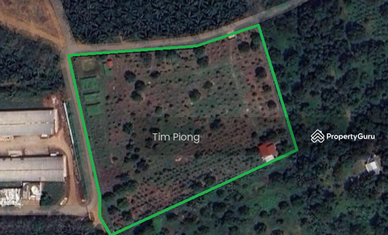 Agricultural Land for Sale in Kampung Lendu (Lendu) - Tim Piong