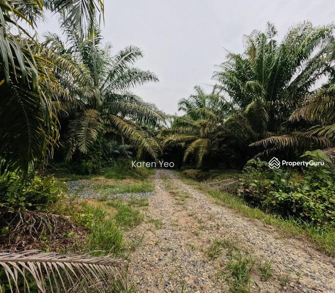 Yong Peng, Yong Peng, Batu Pahat, Johor, , , Agricultural Land For Sale ...