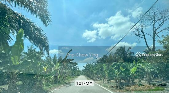 【BESIDE ROAD】Banting, Jalan Bunut, Kuala Langat 2.5 Acres Agricultural ...