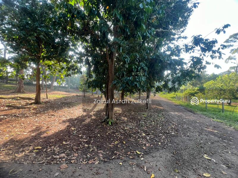 Ayer Molek INFRA READY FREEHOLD Tanah Pertanian Kampung Solok Gaung ...