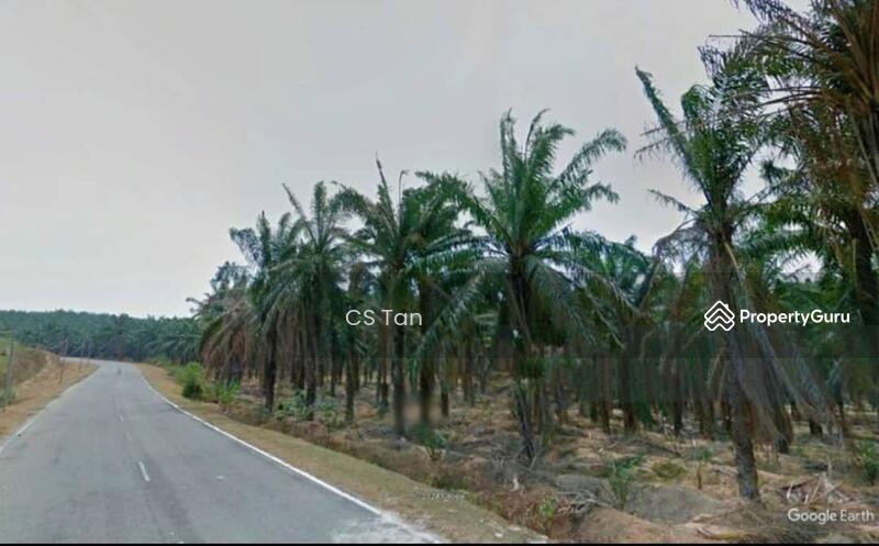 Negeri Sembilan Kuala Pilah Johol 475 acres Palm Oil Land for SALE ...