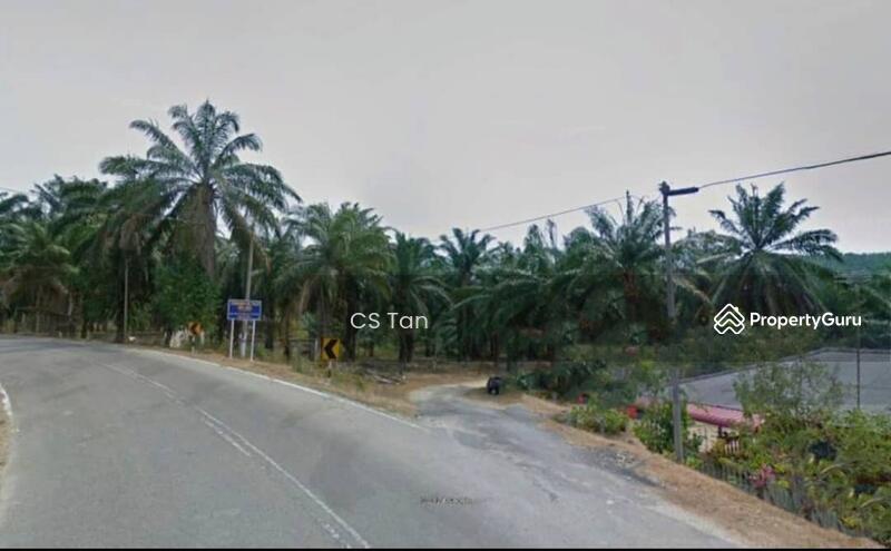 Negeri Sembilan Kuala Pilah Johol 475 acres Palm Oil Land for SALE ...